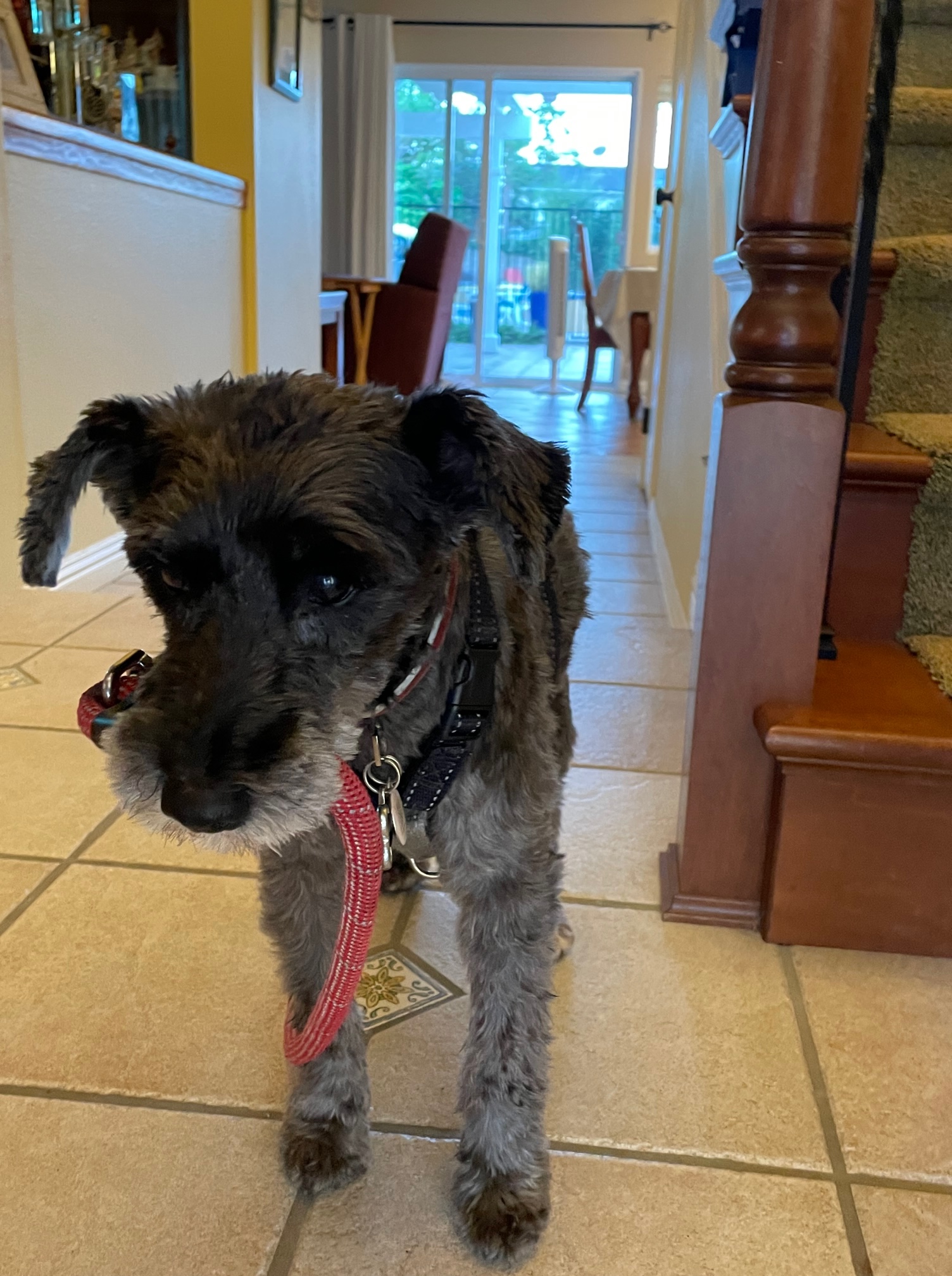 How to Saunter – LARRYLAND